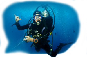 Home - Worldwide Diving Adventures